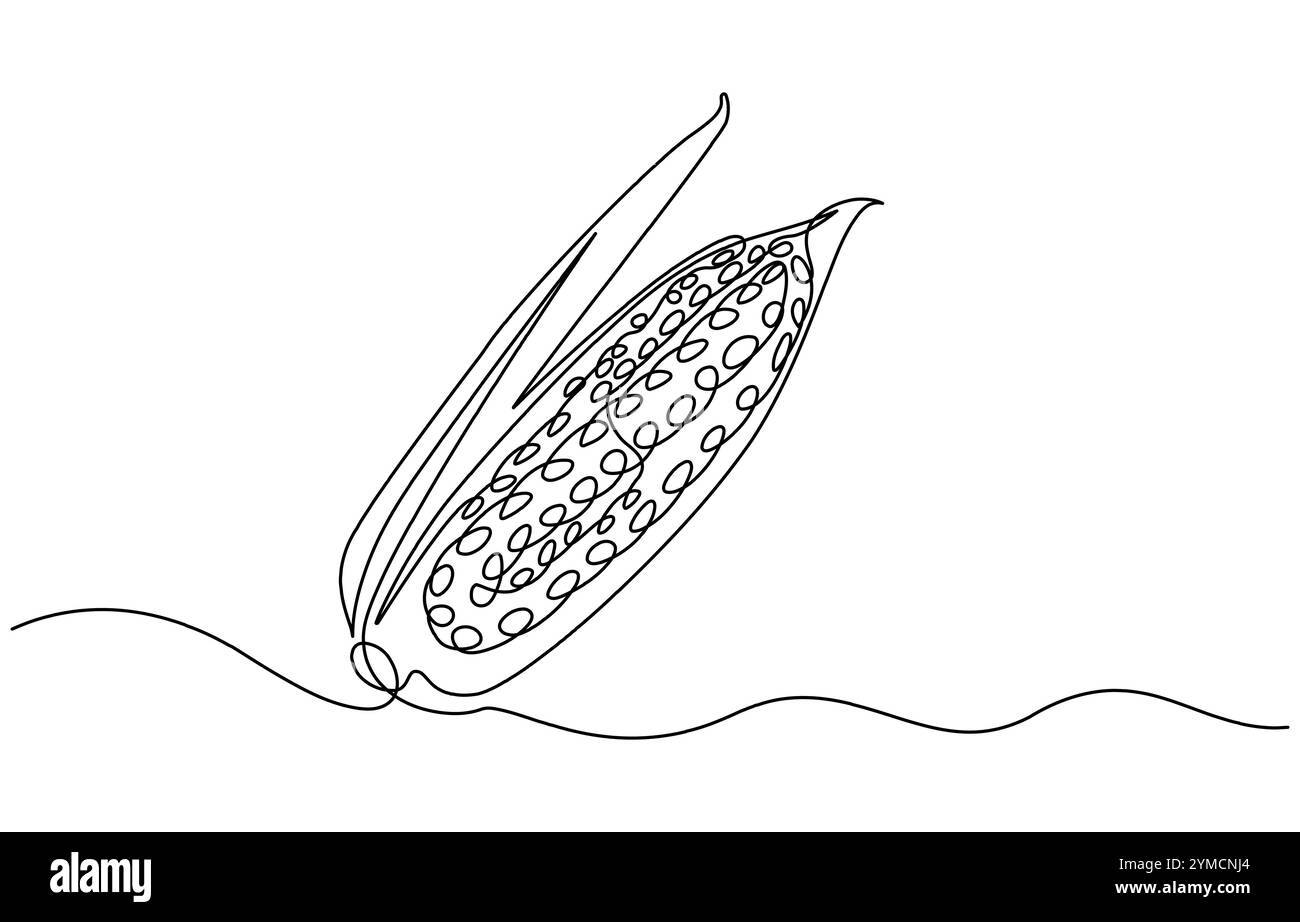 Maize ear in continuous line art drawing style Stock Vector Image & Art ...