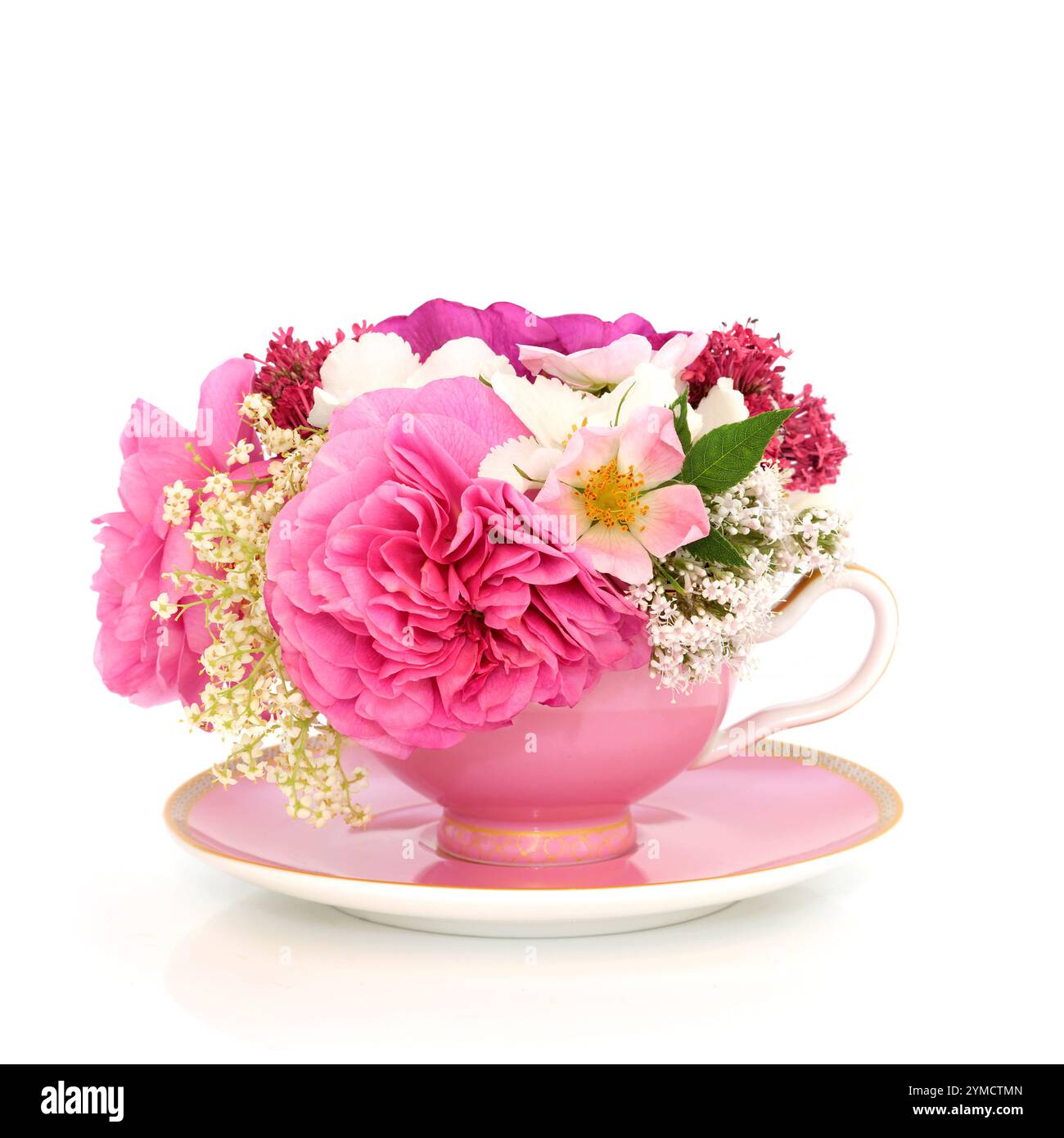 Tea cup flower abstract on white background. Summer flowers surreal ...