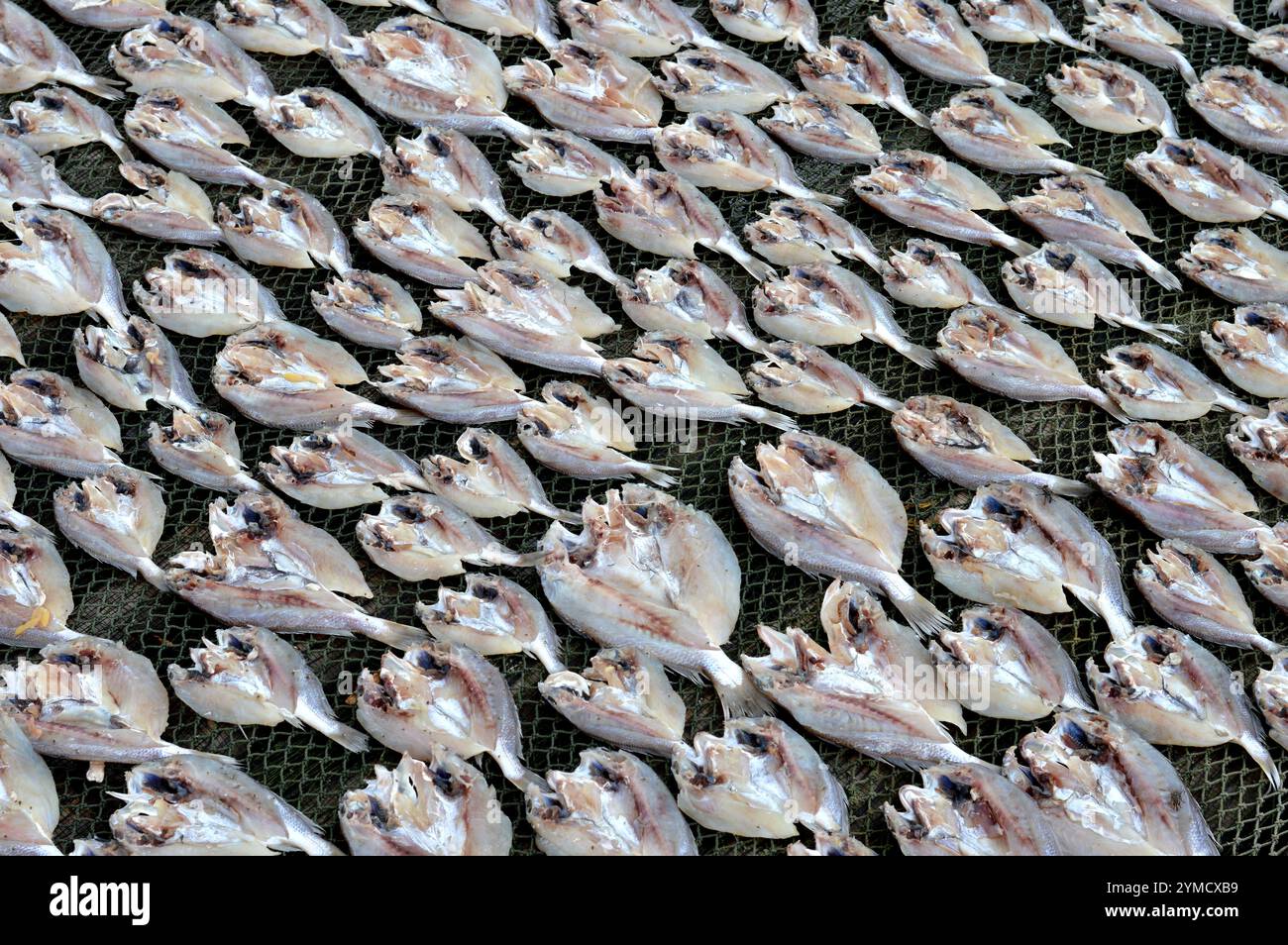 patterns of dried fish background Stock Photo - Alamy