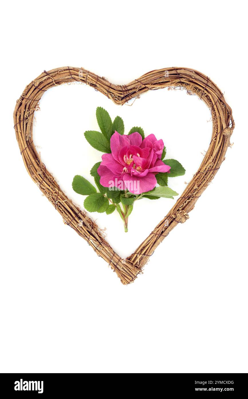 Rose flower with heart wreath on white. Floral symbol for Spring ...