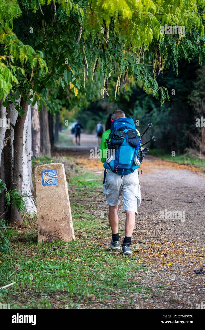Pilgrims walking on the Camino de Santiago, Mansilla de las Mulas ...