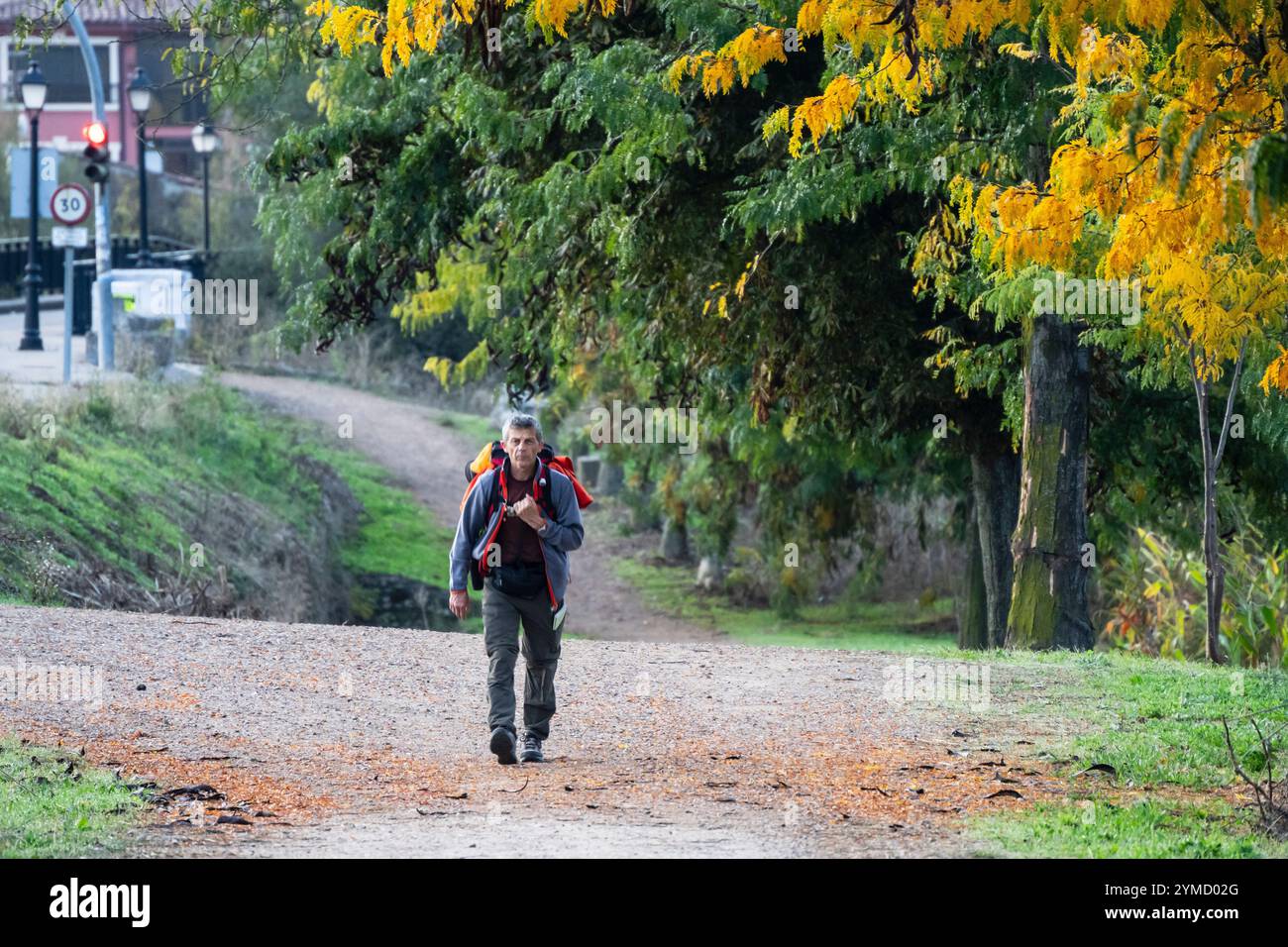 Pilgrims walking on the Camino de Santiago, Mansilla de las Mulas ...