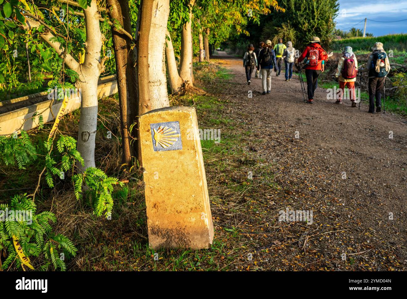 Signposting of the Way of Saint James and Pilgrims on the Camino de ...