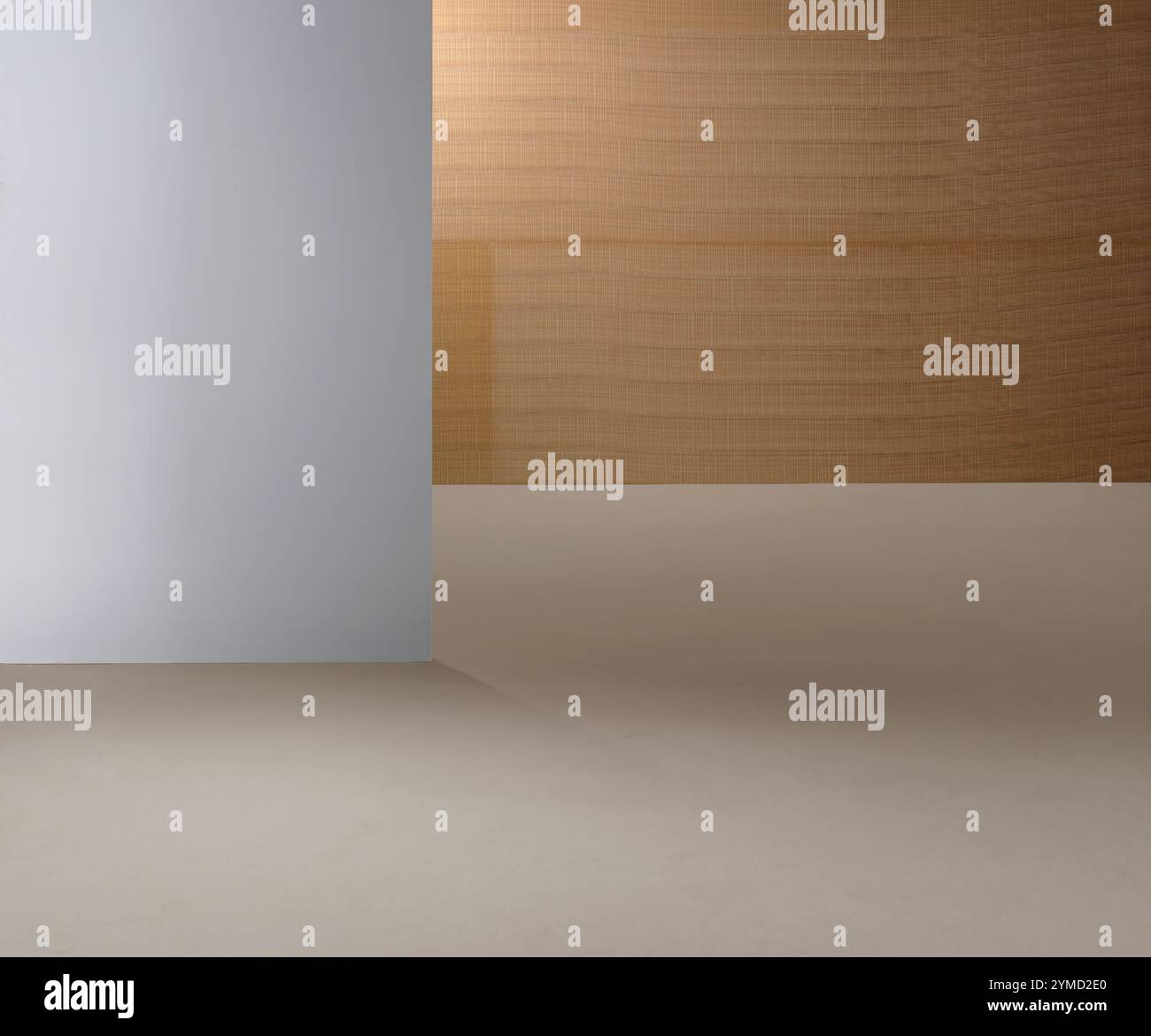 Interior of an empty room, to be furnished, with white floor and wooden ...