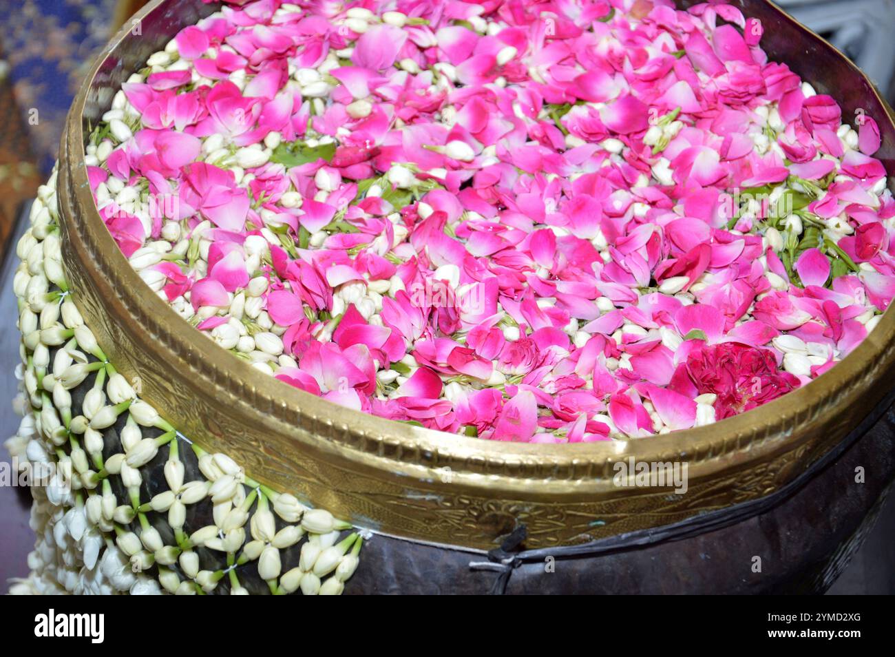 flower petals in water used in Javanese Indonesia traditional wedding ...