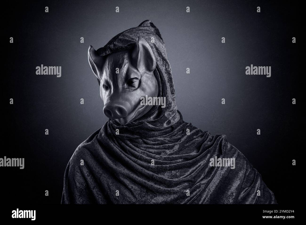 Pig in hooded cloak at night over dark misty background Stock Photo - Alamy