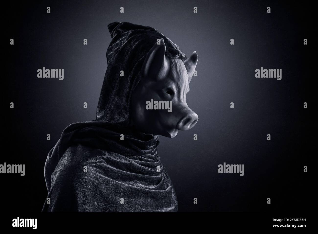 Pig in hooded cloak at night over dark misty background Stock Photo - Alamy