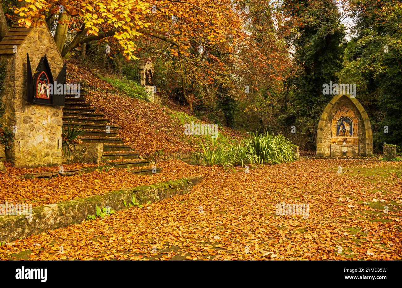 Scapulare hi-res stock photography and images - Alamy