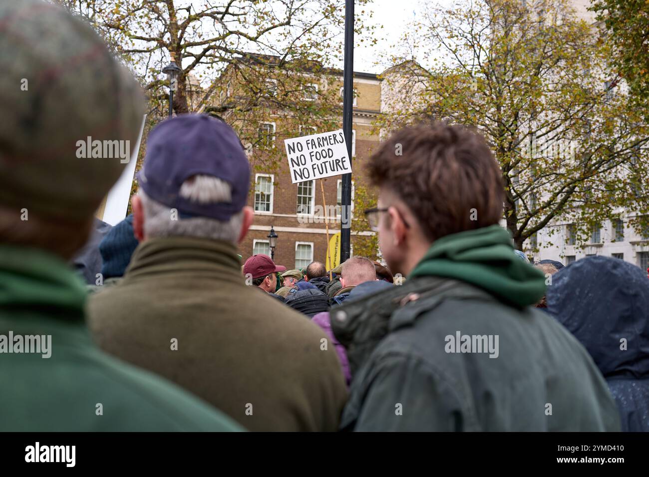 Rachel thieves hi-res stock photography and images - Alamy