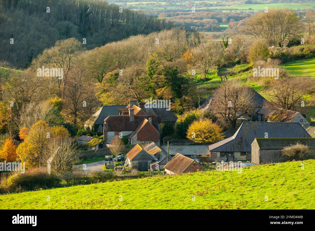 Autumn afternoon at Saddlescombe Farm on the South Downs in East Sussex ...