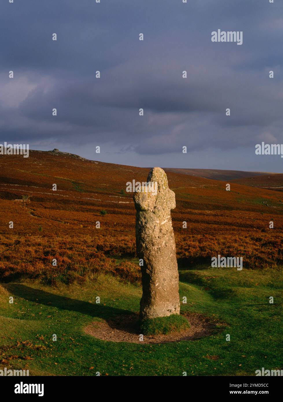 Rabbit warren marker hi-res stock photography and images - Alamy