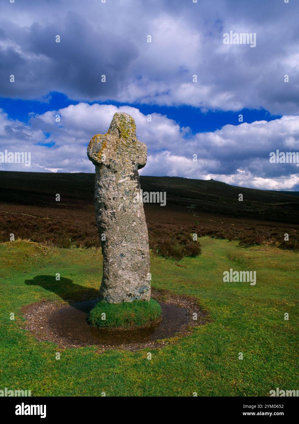 Rabbit warren marker hi-res stock photography and images - Alamy