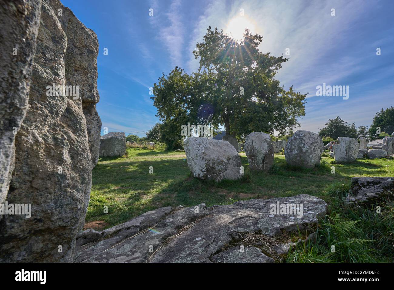 Megalithic stone alignments of Carnac, Brittany, France Stock Photo - Alamy