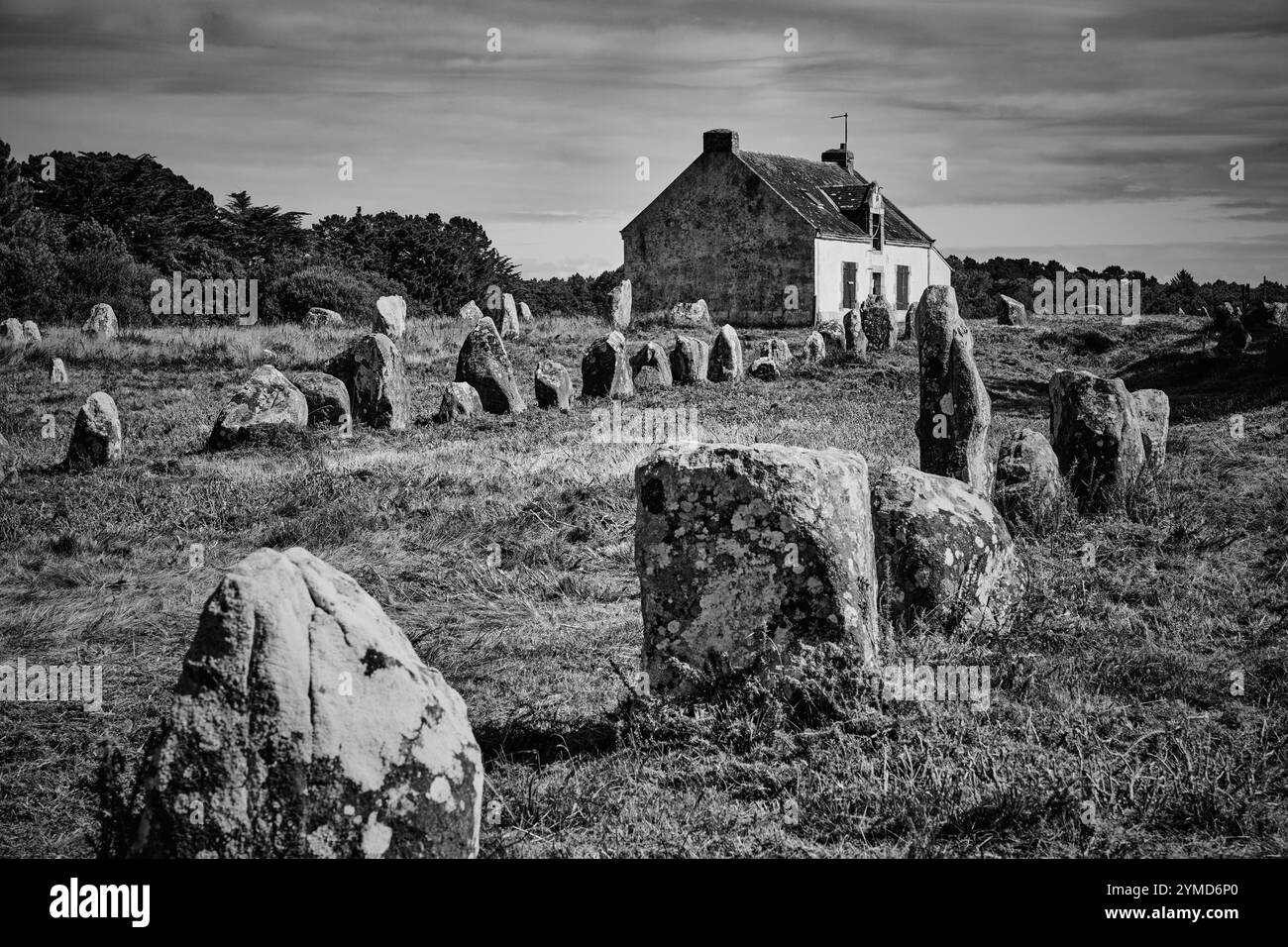 Megalithic stone alignments of Carnac, Brittany, France Stock Photo - Alamy