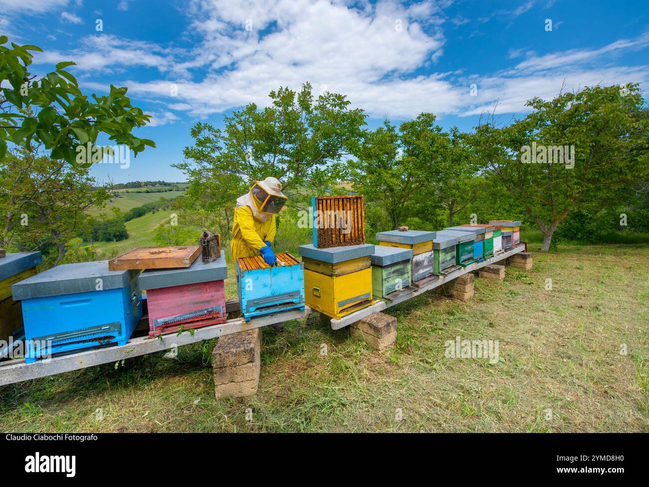 Beekeeping company hi-res stock photography and images - Alamy