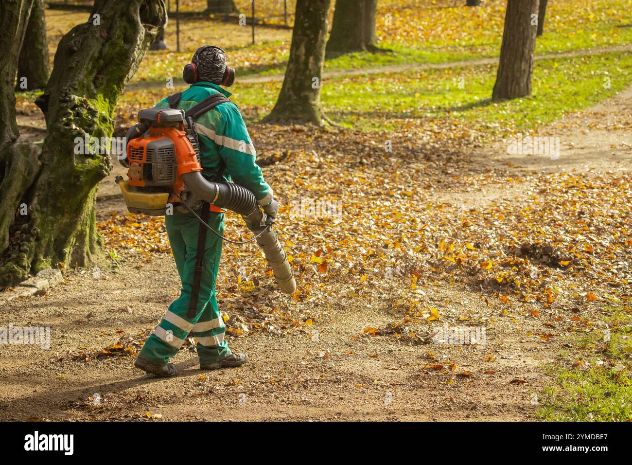 Back view of a public worker using leaf blower to clean path in a park ...