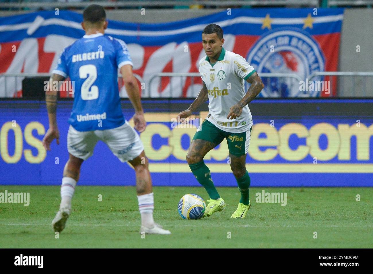 Dudu palmeiras 2024 hi-res stock photography and images - Alamy