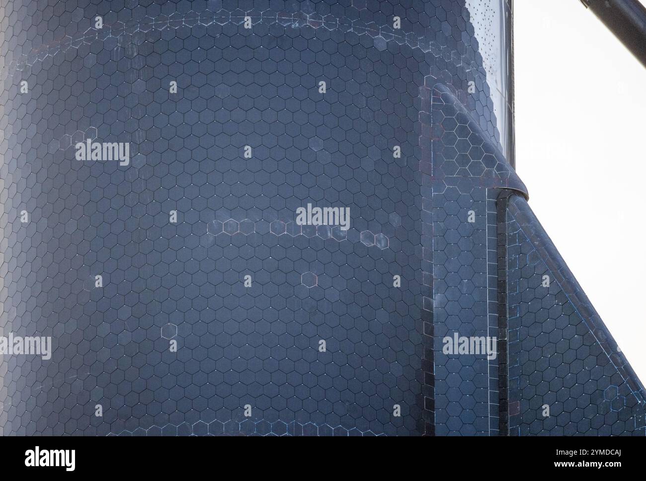 Just before sunset close up photos of SpaceX Starship IFT-6 Ship 31 ...
