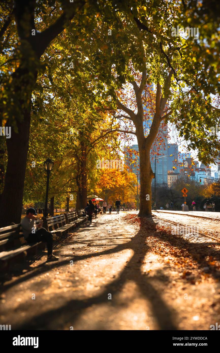 Big city in fall hi-res stock photography and images - Alamy