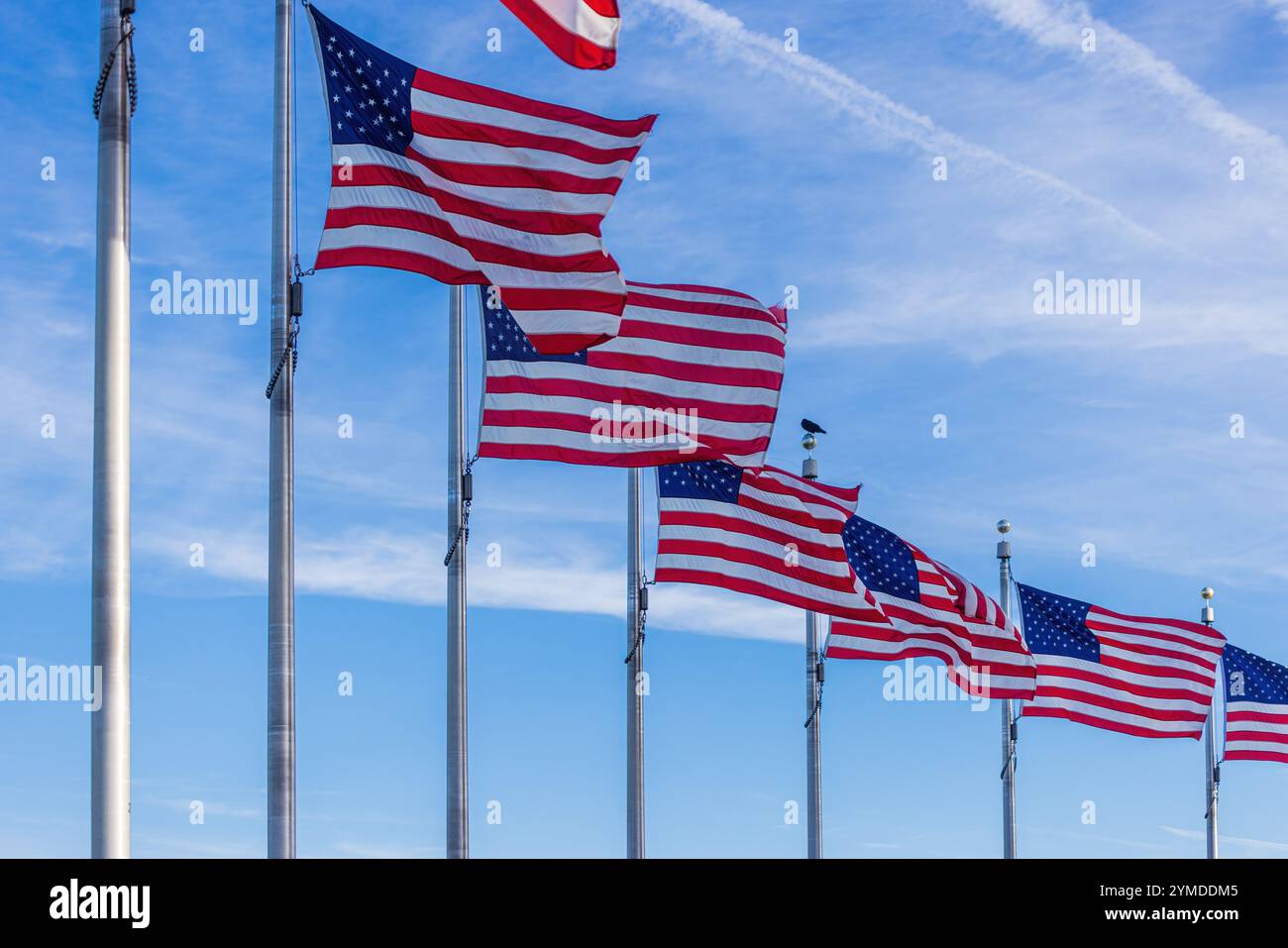 Us flag country flags hi-res stock photography and images - Alamy