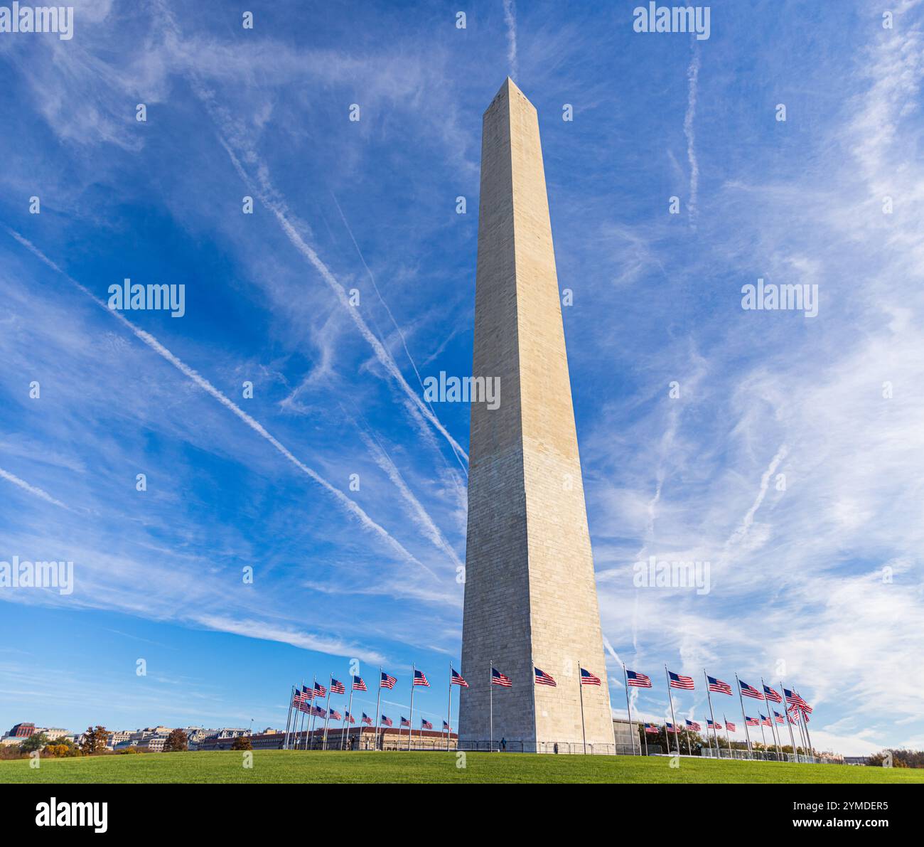 Washington Monument Surrounded by US Flags in Washington DC Stock Photo ...