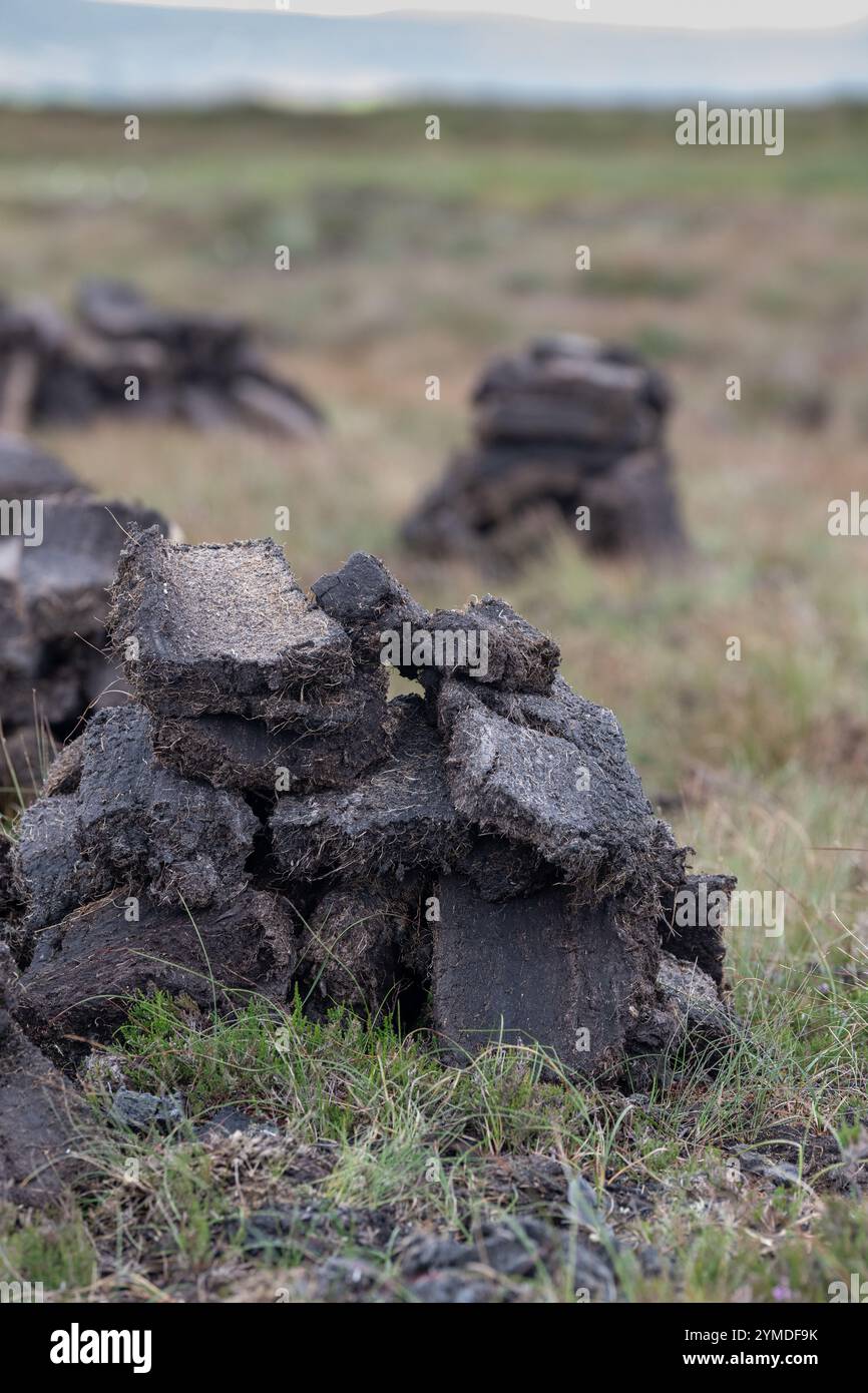 Habitat heat hi-res stock photography and images - Alamy