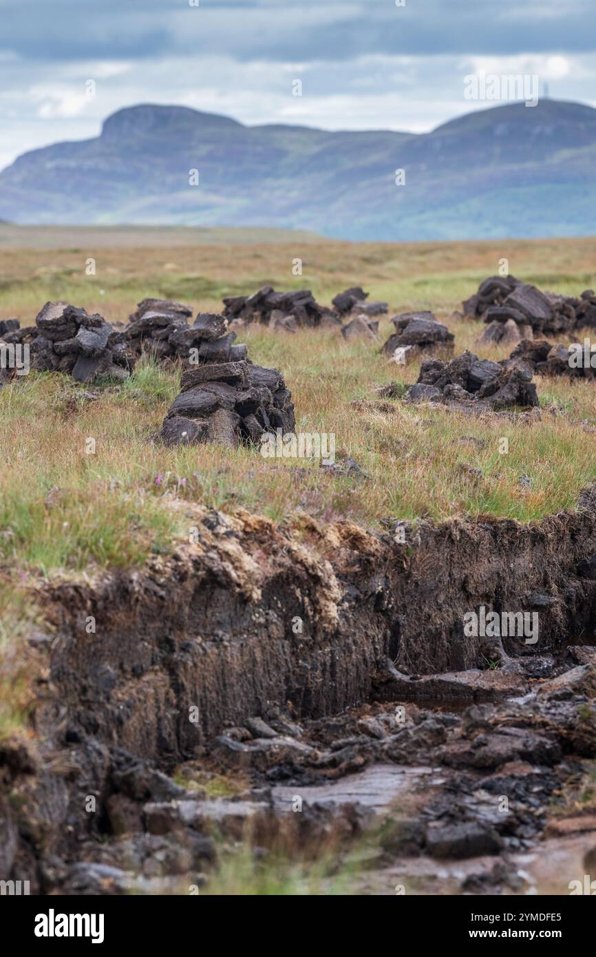 Peatbog landscape hi-res stock photography and images - Alamy