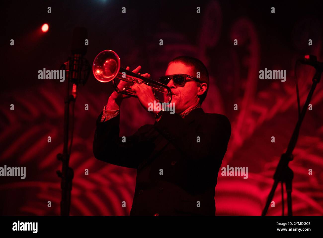 Toby laing hi-res stock photography and images - Alamy