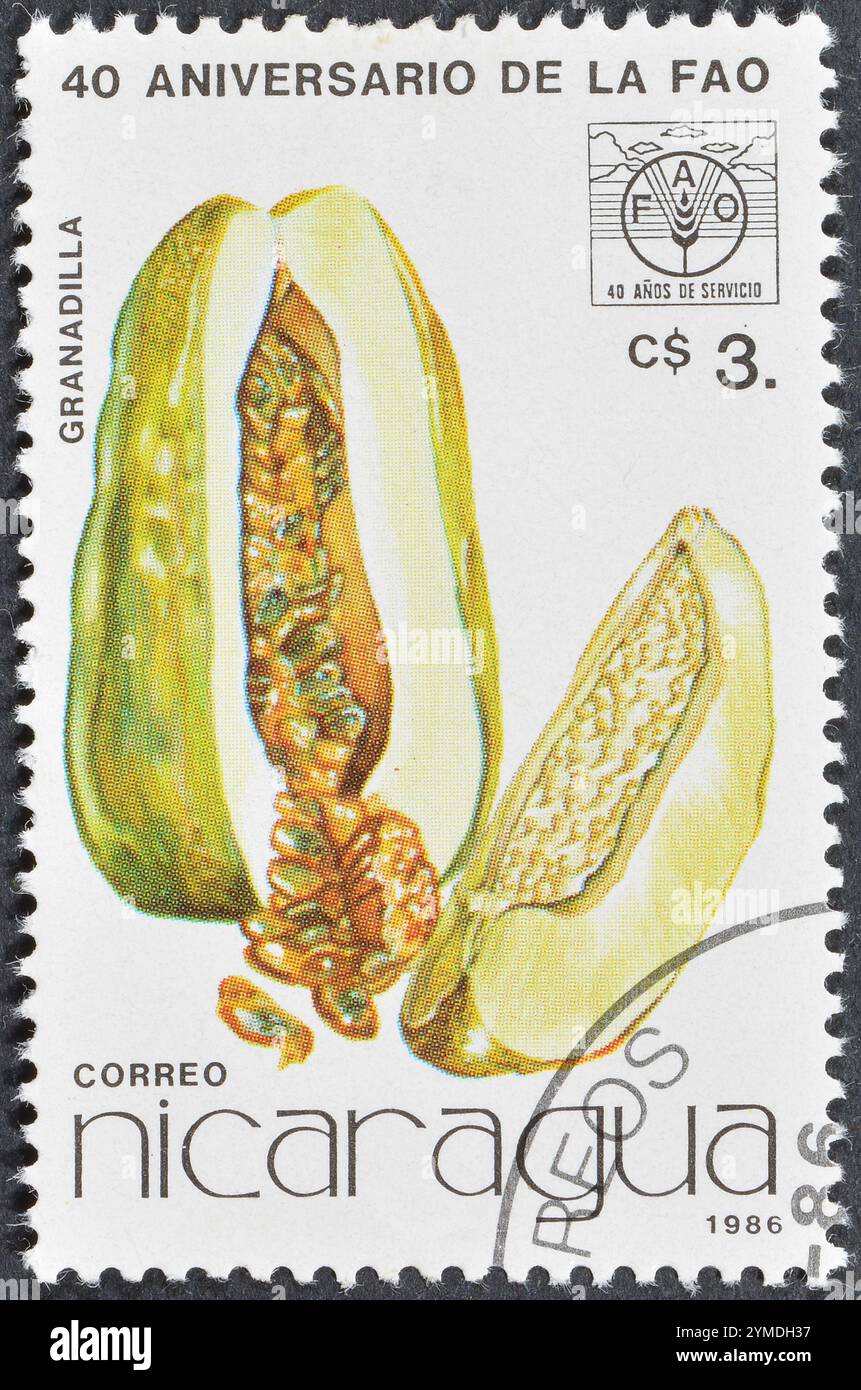 Cancelled postage stamp printed by Nicaragua, that shows Granadilla ...