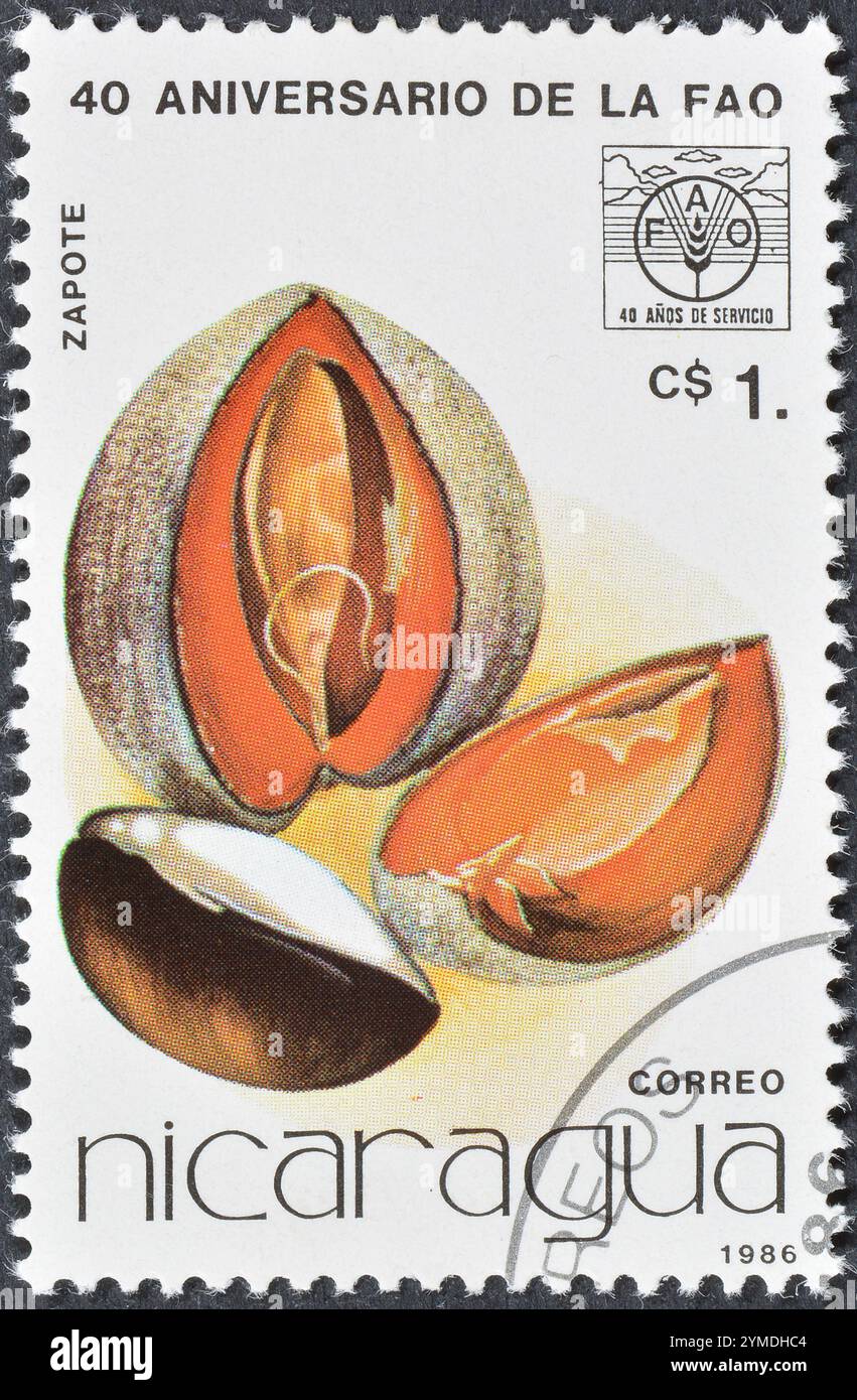 Cancelled postage stamp printed by Nicaragua, that shows Zapote, FAO ...