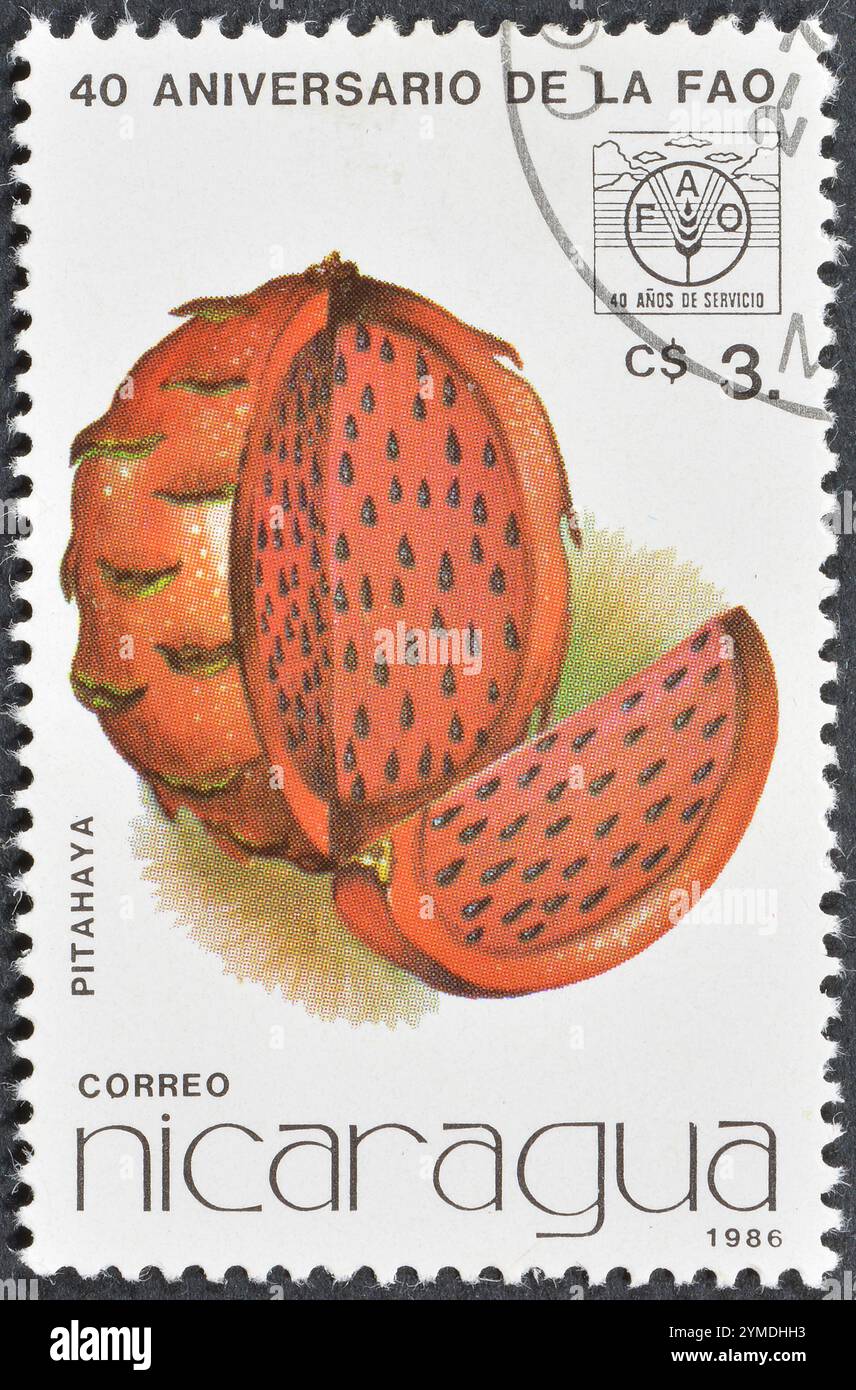 Cancelled postage stamp printed by Nicaragua, that shows Pitahaya, FAO ...