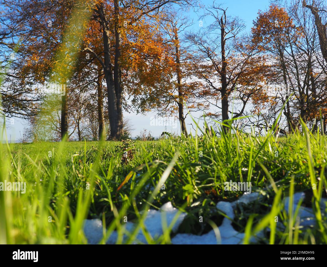 Oxford, UK. 21st Nov 2024. UK Weather. Sunshine and blue skies on a ...