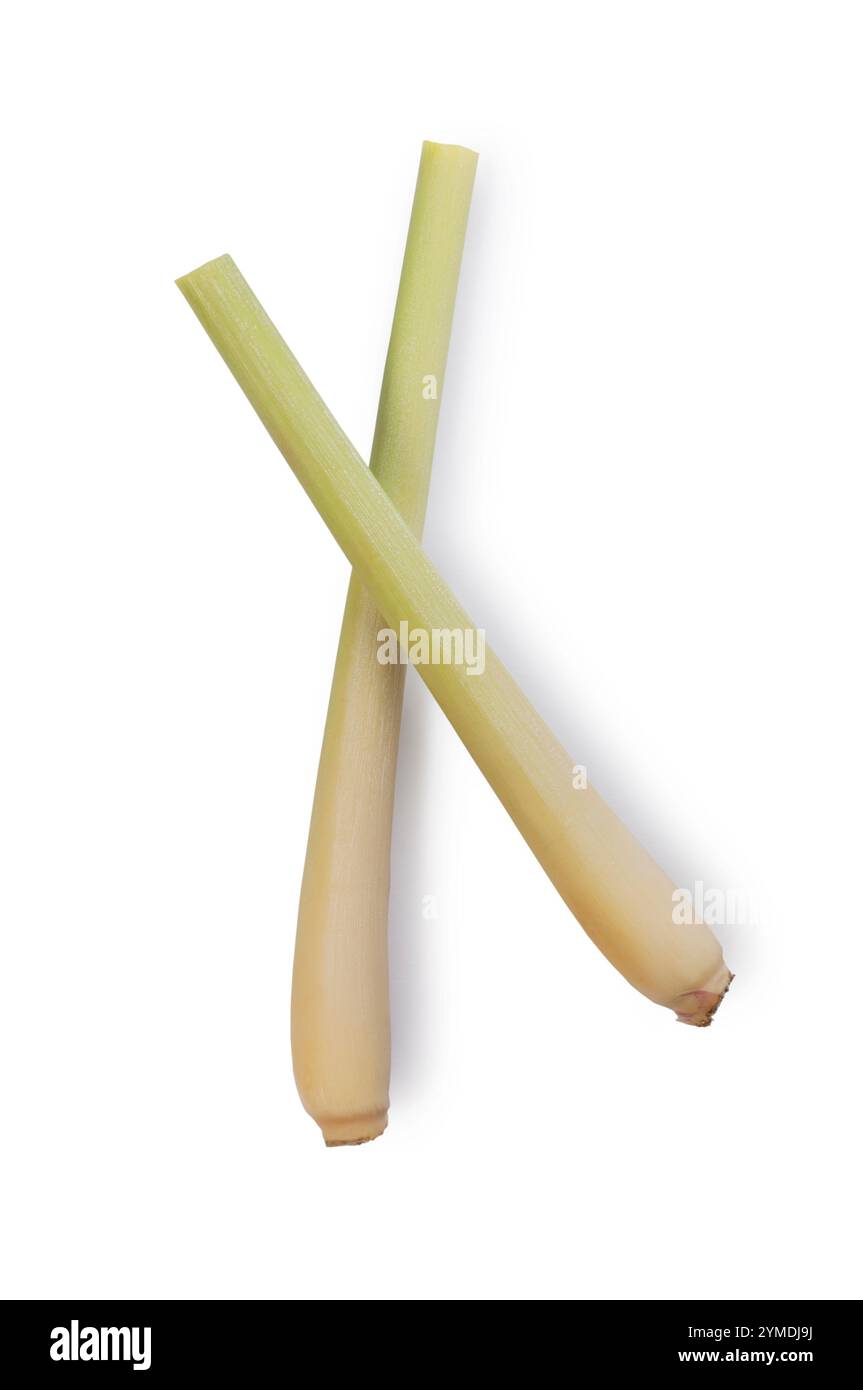 Stem colour Cut Out Stock Images & Pictures - Alamy