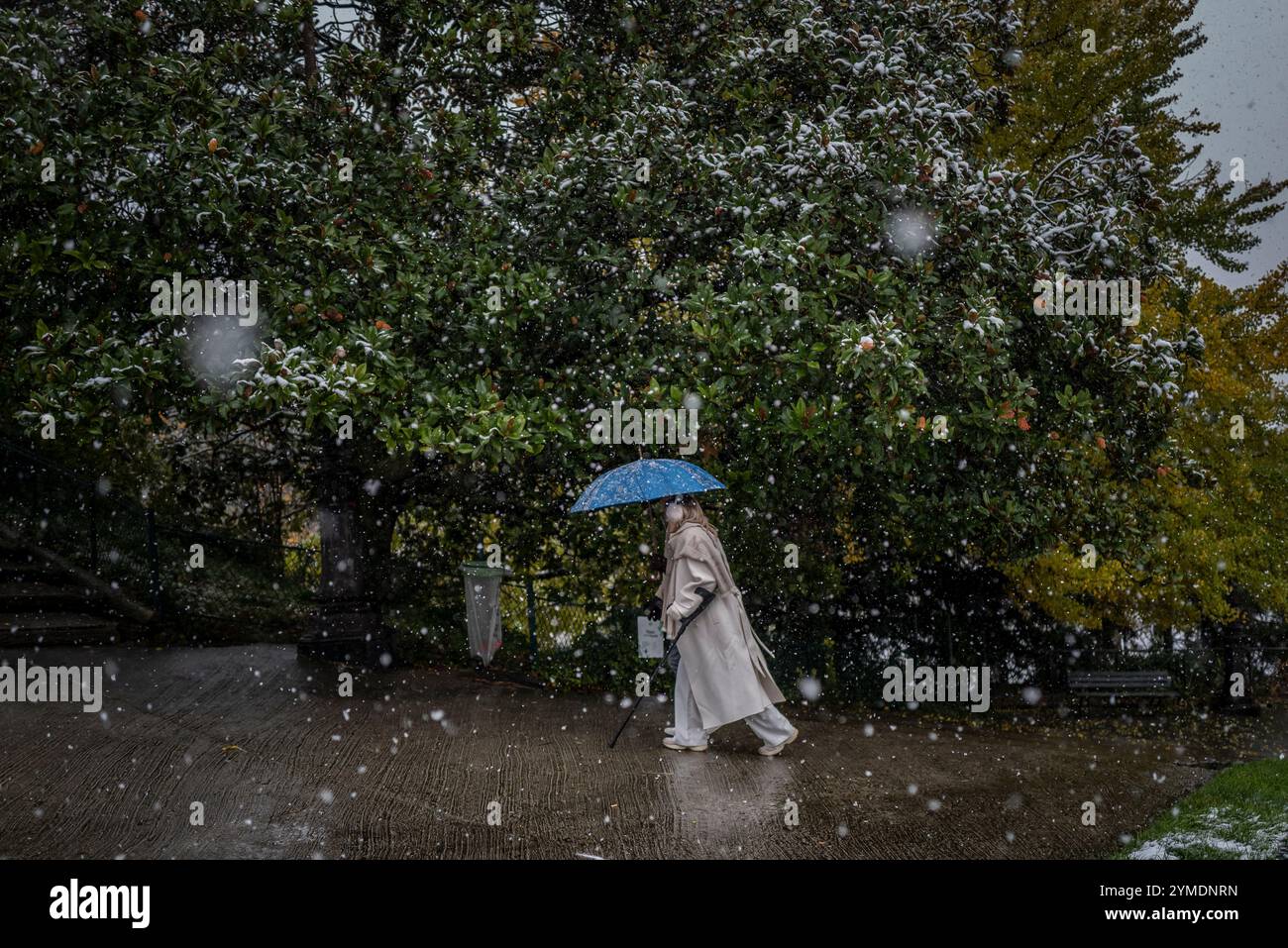 Paris, France. 21st Nov, 2024. Illustration snow in Paris near the ...