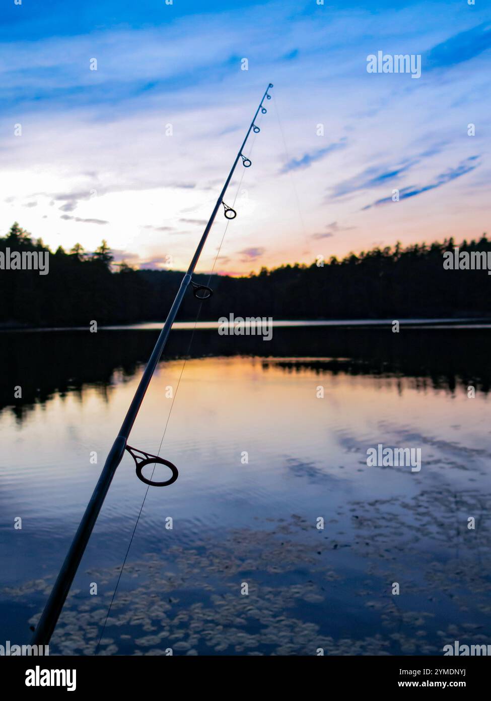 Fishing Pole Silhouette on Peaceful New York Lake Stock Photo - Alamy