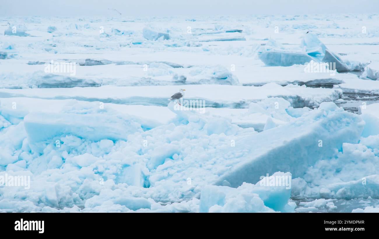 Scenic views of the Arctic sea Stock Photo - Alamy