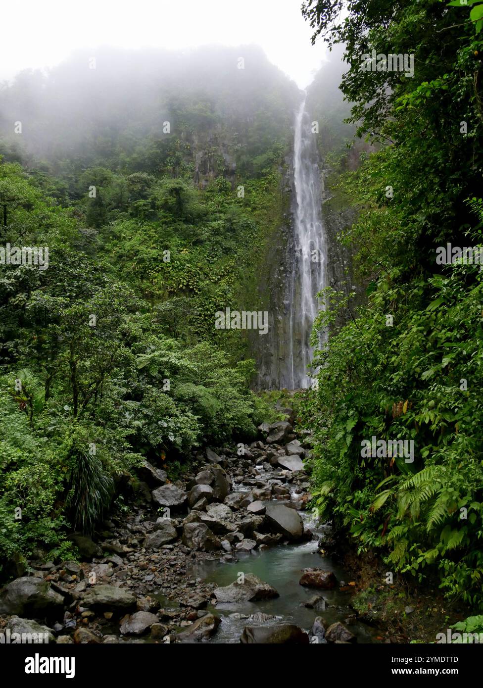 Carbet cascade hi-res stock photography and images - Alamy