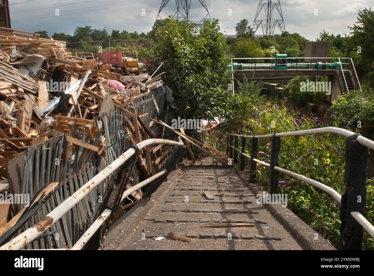 Lea homer hi-res stock photography and images - Alamy