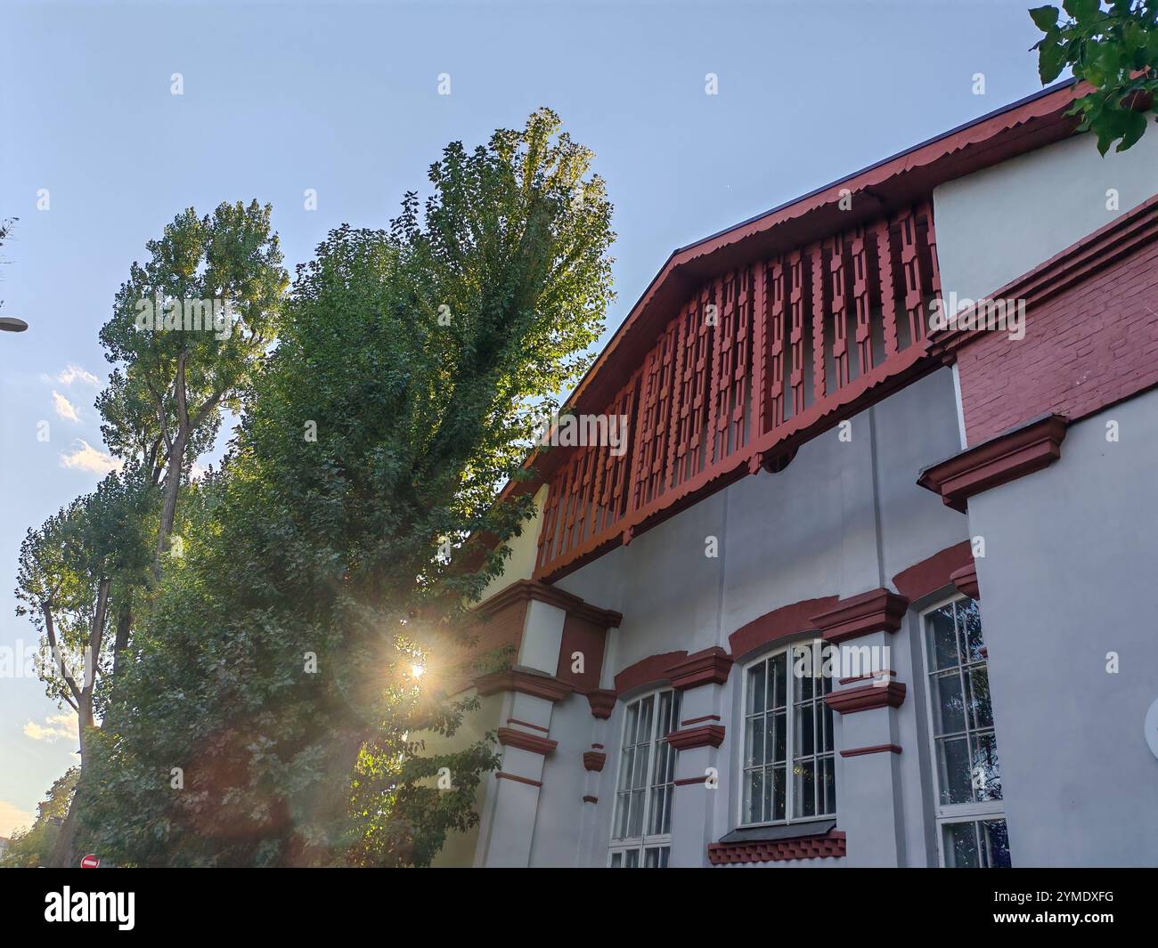 modern house with a metal roof and wood accents under tall trees and a ...