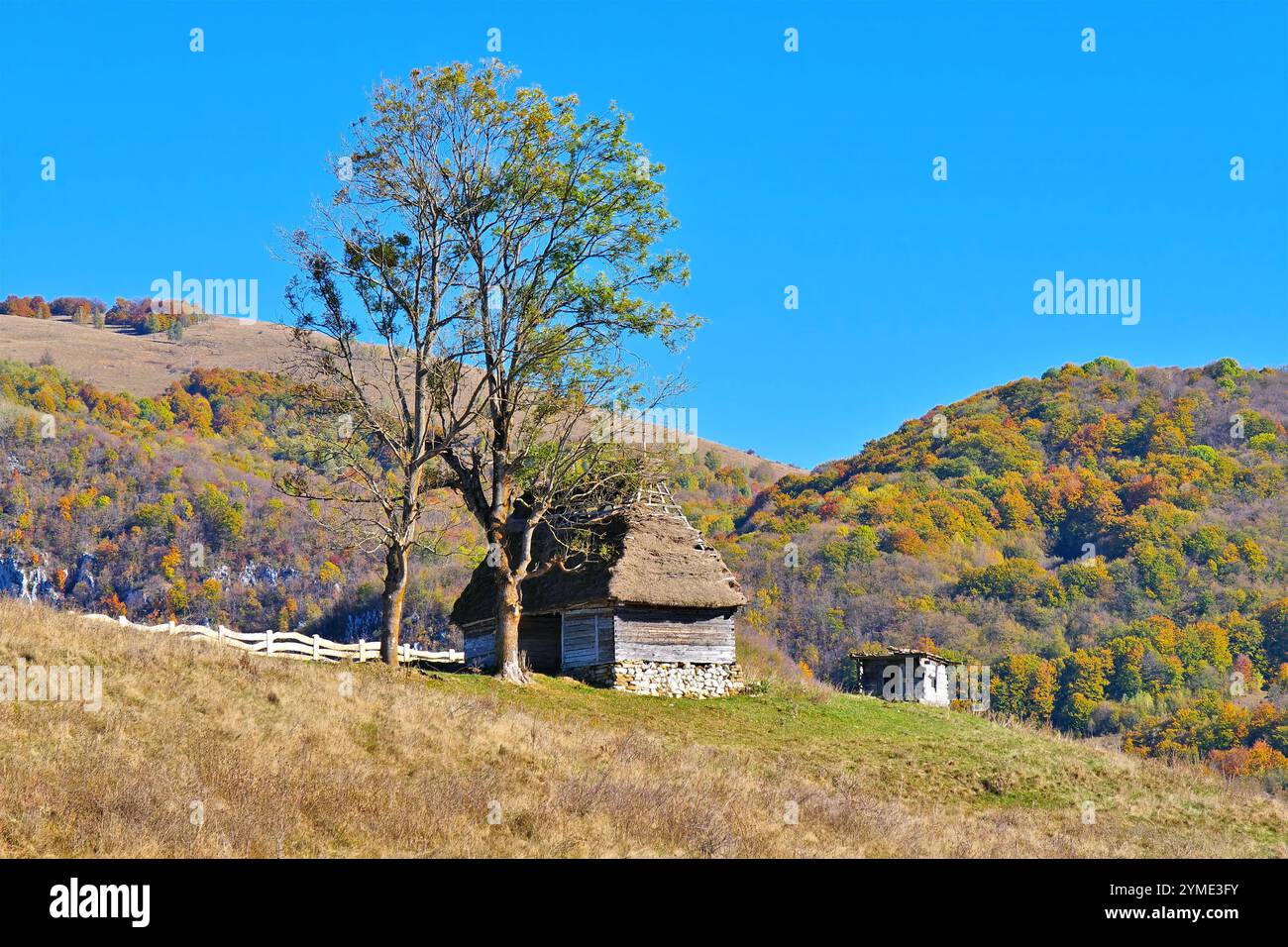 old hut in autumnal landscape in the Carpathians of Romania, Dumesti ...