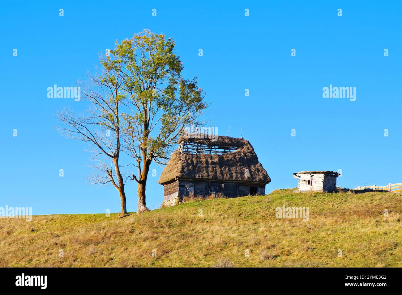 old hut in autumnal landscape in the Carpathians of Romania, Dumesti ...