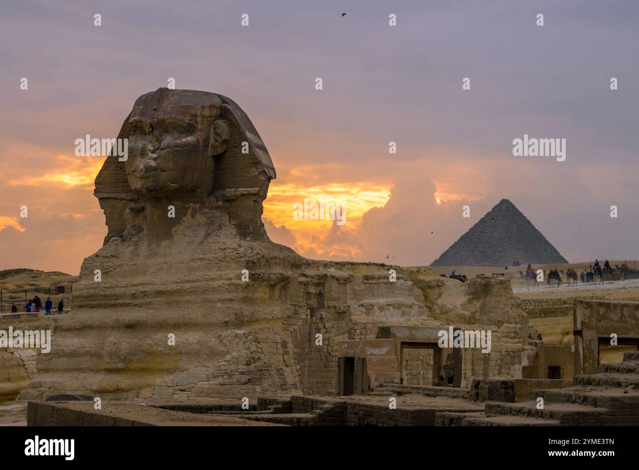 The Great Sphinx in Egypt Stock Photo - Alamy