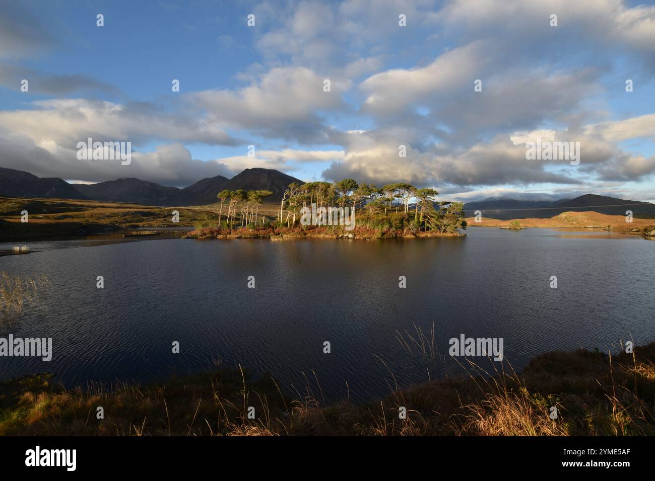 Pine island derryclare lake hi-res stock photography and images - Alamy
