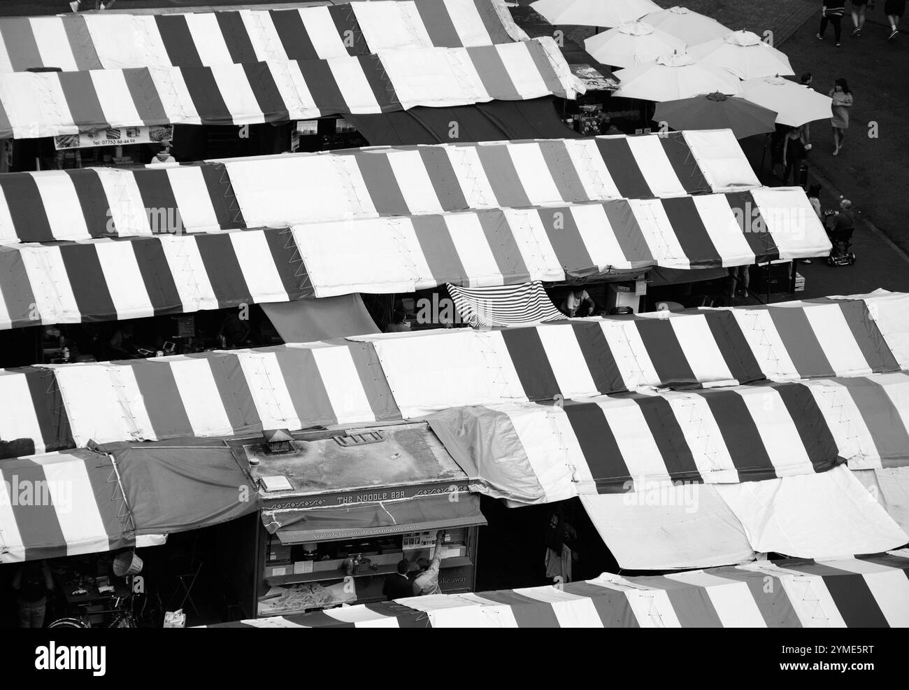 Top view fresh young Black and White Stock Photos & Images - Alamy