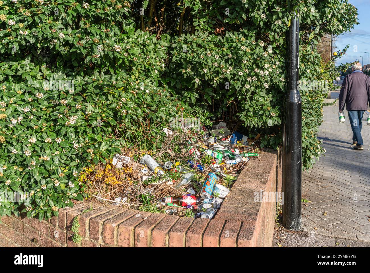 Waste dumped into flower beds hi-res stock photography and images - Alamy