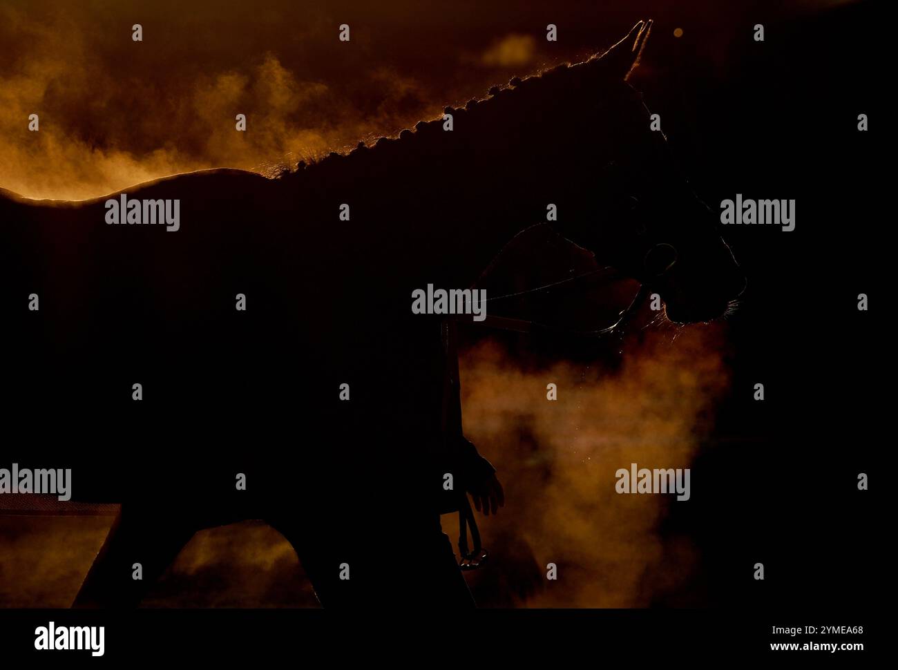 A general view of steam rising a horse in the stables at Warwick ...
