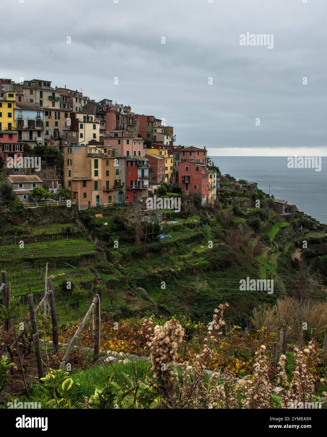Landscapes of The five lands, Liguaria, Italy Stock Photo - Alamy