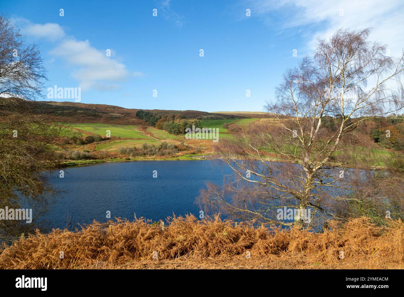 Cilcain north wales hi-res stock photography and images - Alamy