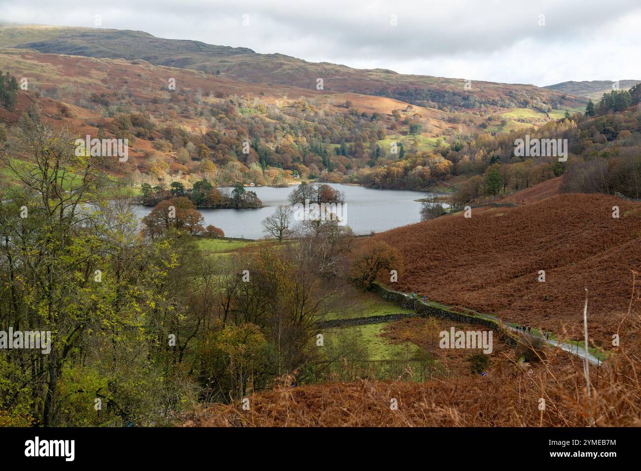 Autumn rydal water lake district hi-res stock photography and images ...