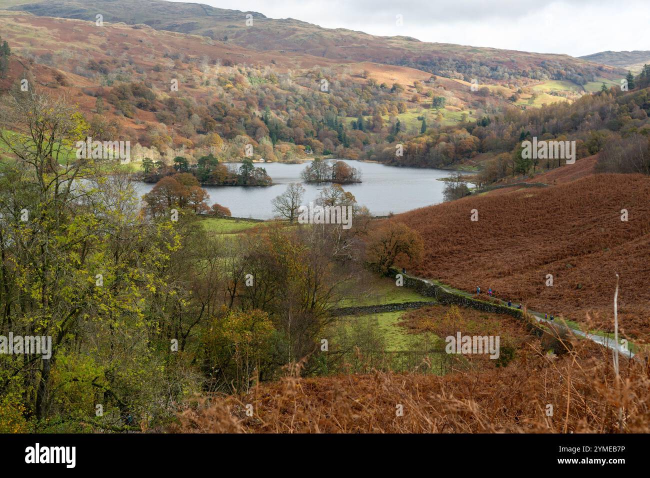 Autumn rydal water lake district hi-res stock photography and images ...